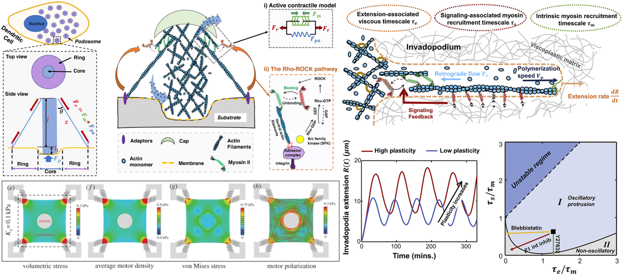 Mechanobiology of the Cell – Multiscale Mechanobiology and Biomaterials Laboratory